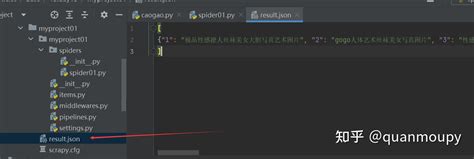 Python爬虫从0到1第十六天——scrapy之数据存储 知乎