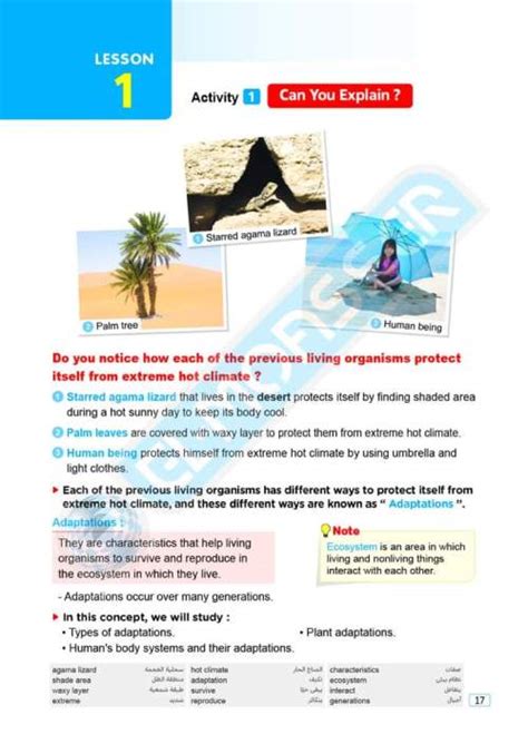 ساينس للصف الرابع الابتدائي ترم أول 2023 مدراول