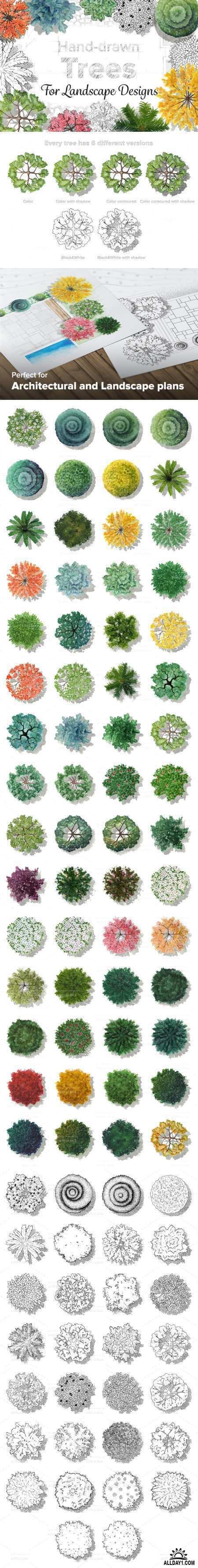 The Different Types Of Trees Are Shown In This Drawing Style And Each