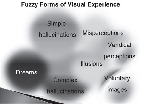 Understanding Visual Hallucinations Amidst Vision Loss