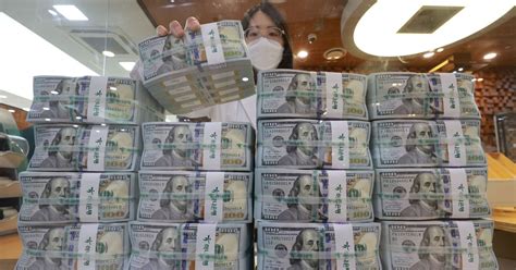 정부 순대외채무 5년만에 2배 늘어