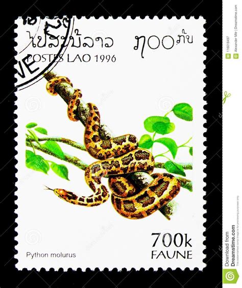 Indian Rock Python Python Molurus Fauna Serie Circa 1996 Editorial Photography Image Of