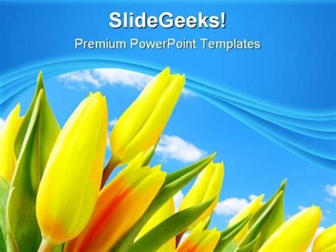 tulips beauty powerpoint background and template 1210