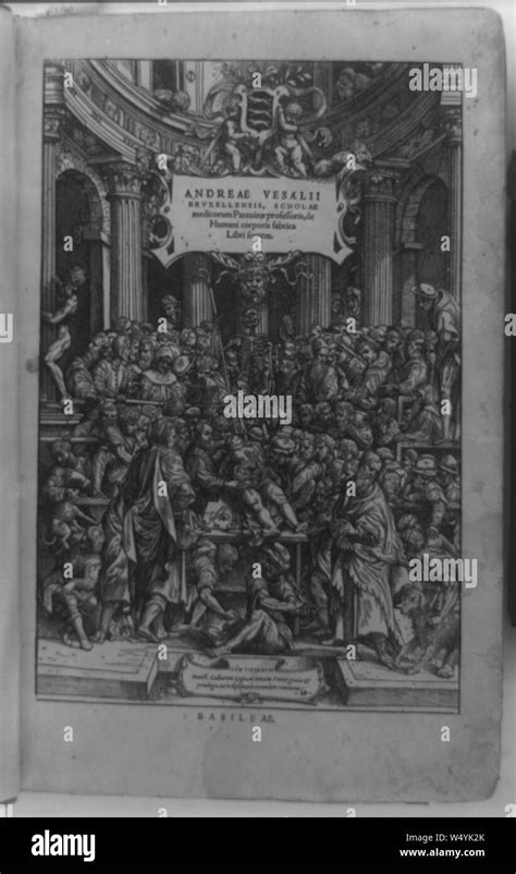 Cadaver Dissection Hi Res Stock Photography And Images Alamy