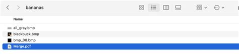 How To Convert BMP To PDF Methods