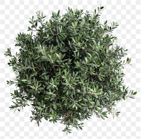 Architectural Elevations Images Free Photos Png Stickers Wallpapers