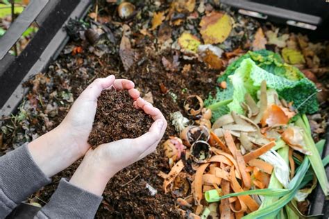 A Step By Step Guide To Starting A Compost Pile Storables