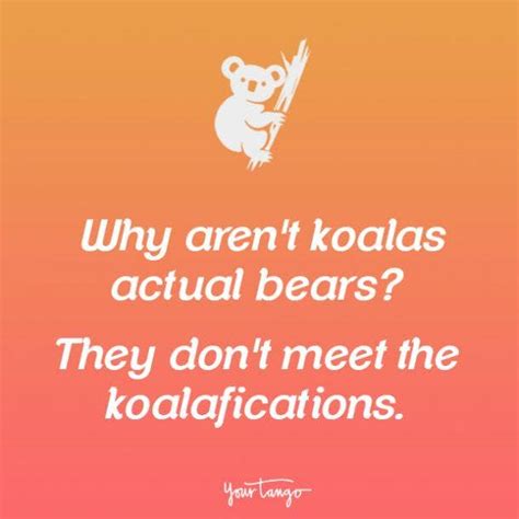 16 Best Funny Jokes And Wednesday Hump Day Memes Yourtango