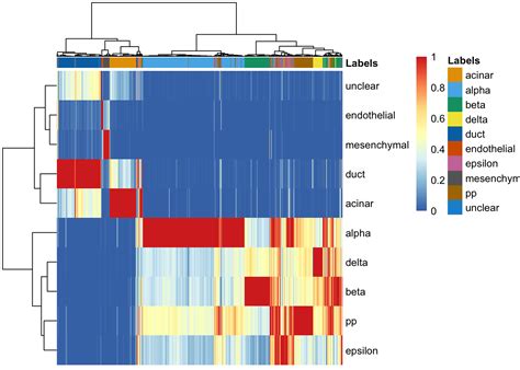 10 Clustering And Cell Annotation Analysis Of Single Cell Rna Seq Data