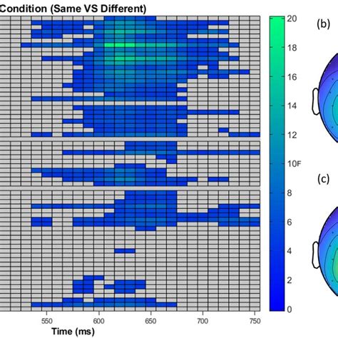 mass univariate analysis results a significant cluster revealed