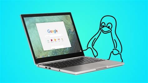 Best Linux Distros For Programming In