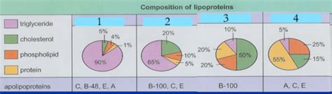 Metabolsim 12 Metabolic Integration Tim Higgins Flashcards Quizlet