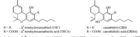 Figure 1 From Random Amplified Polymorphic Dna And Restriction Fragment