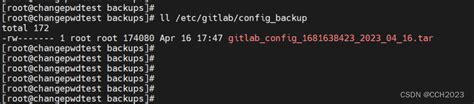 Gitlab Ce升级方法git Ce Csdn博客