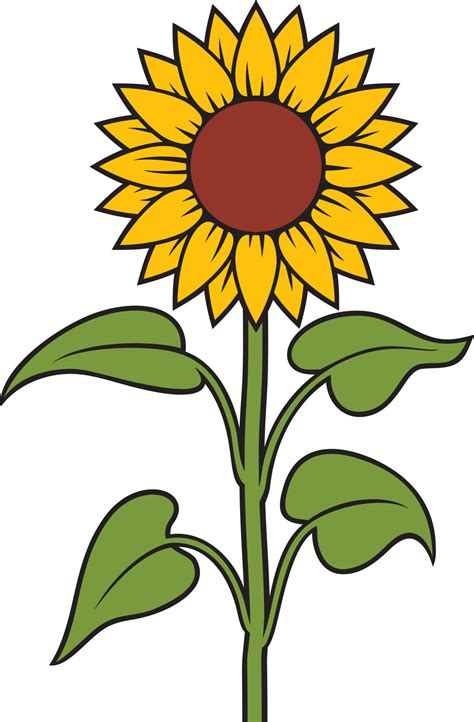 Sunflower Drawing Clip Art At Susan Lebrun Blog