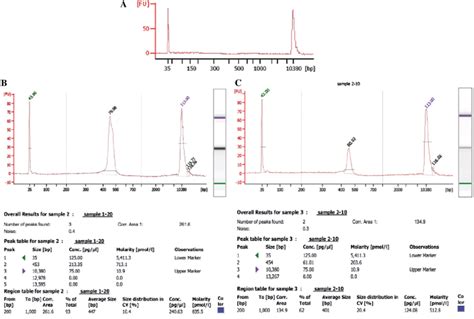 Agilent 2100 Bioanalyzer System Analyzed Data From Samples Of One Download Scientific Diagram