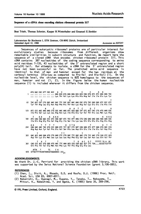 pdf sequence of a cdna clone encoding chicken ribosomal protein s17