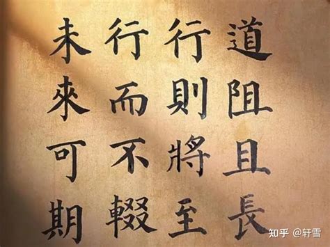 道阻且长，行则将至，行而不辍，未来可期”——这句话，建议收藏！ 知乎