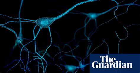 Scientists Teach Brain Cells To Play Video Game Pong Neuroscience