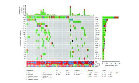 Landscape Of Genomic Alterations In 67 Multiple Lung Cancer Samples