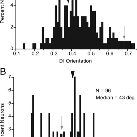 Orientation Tuning Of V1 Neurons A Distribution Of Orientation Di Download Scientific