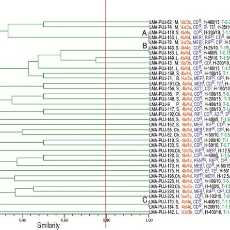 Dendrogram Resulting From Analysis Of Eric Pcr Performed On Isolates Of