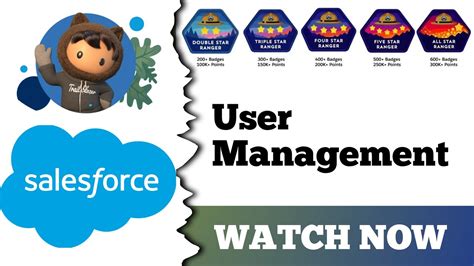 Trailhead Salesforce User Management Quiz Solutions Salesforce Salesforcedeveloper Youtube