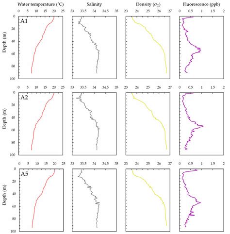 Vertical Profiles Of The Environmental Variables Water Temperature Download Scientific