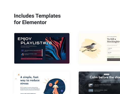 Audio Player With Controls Builder For Elementor Wp Plugins Ft Audio