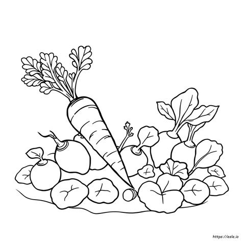 Vegetable Coloring Sheets