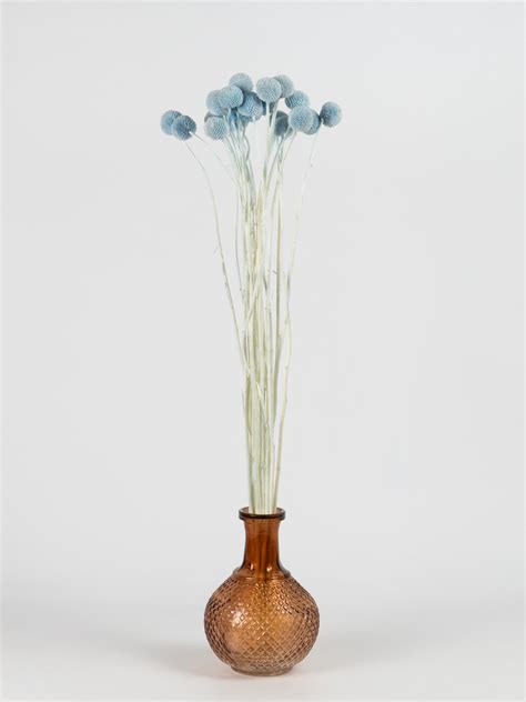 Краспедія стабілізована світло блакитна купити в Україні за низькою ціною • Dfb Elements