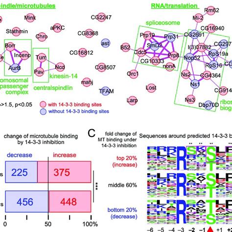 Bioinformatics Analysis A Physical Protein Protein Interactions Download Scientific Diagram