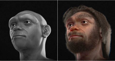 Reconstruyen Por Primera Vez El Rostro Del Homo Longi A Partir De Un