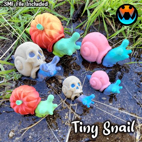 Tiny Snails 3 Pack Release