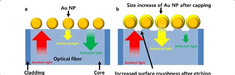 Schematic Diagram Of The Fo Lspr Sensor A Without And B With Au Capping Download Scientific