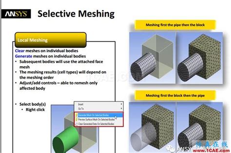 Ansys技术专题之 网格划分ansys培训、ansys有限元培训、ansys Workbench培训、ansys视频教程、ansys