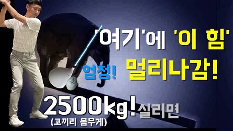 골프 이 영상을 미리 알았더라면2 Youtube