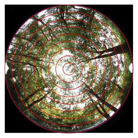 Calculation Of Canopy Gap Fraction From Hemispherical Photographs Download Scientific Diagram