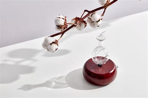 Improve The Atmosphere With A Nebulizing Diffuser Residence Style Improve The Atmosphere With A Nebulizing Diffuser Residence Style