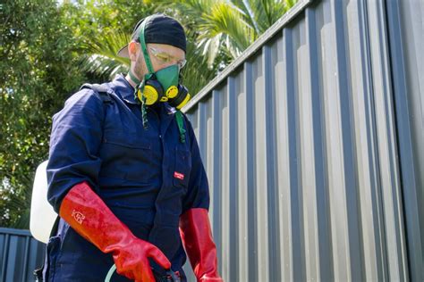 Spider Control Expert Removal By The Local Guys Nz