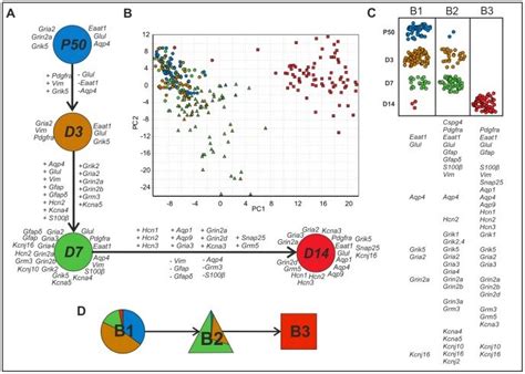 A Changes In The Gene Expression Of Highly Expressed Log Relative Download Scientific
