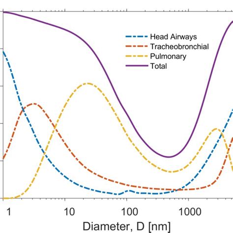 size resolved particle deposition fractions in the human respiratory