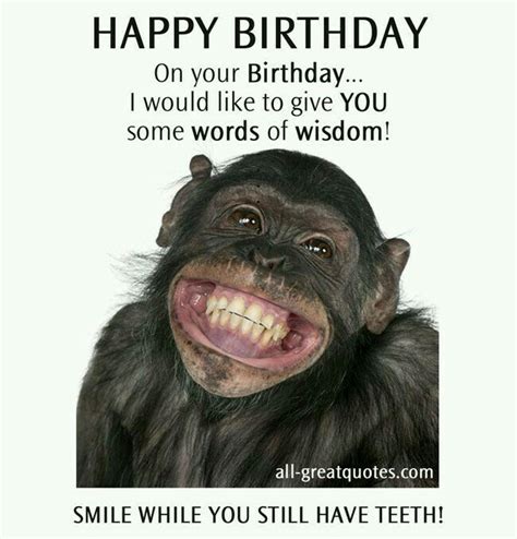 Happy Belated Birthdaypointless Literotica Discussion Board