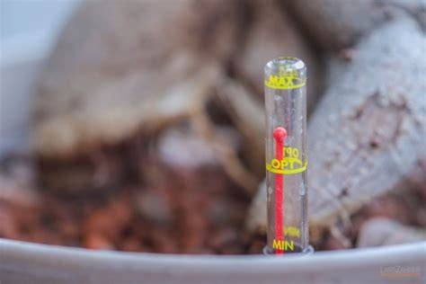 Dwc Water Level Essential Tips For Optimal Growth