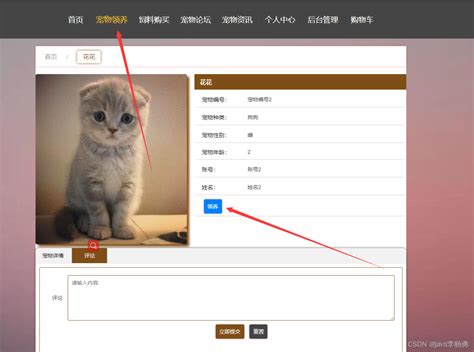 基于java实现宠物领养救助交流平台设计和实现 51cto博客 专业领养宠物平台