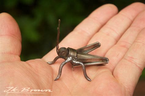 Grasshopper Jkbrown