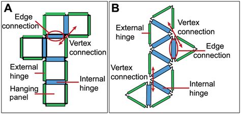 Schematic Diagram Of The Net Geometry The Diagram Shows The A Cube Download Scientific