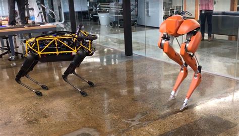 Ostrich Inspired Robot Cassie Goes On A Playdate With A Quadruped Robot