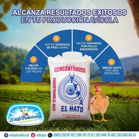 El ️ ️alcanzá El éxito En Tu Granja Con Una Alimentación Que Potencia
