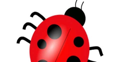 Sewing Bug The United Kingdom About Me